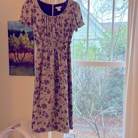 Sundance | Dresses | Sundance Silk Dress Neutral Background W Soft ...